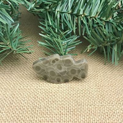 Petoskey Stone Fish Magnet A - Grandpa Shorter's Gifts